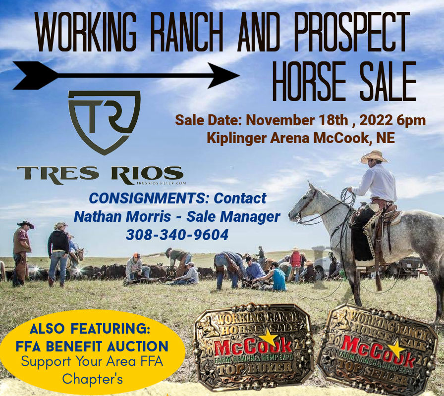 Working Ranch Horse Sale & Benefit FFA Auction